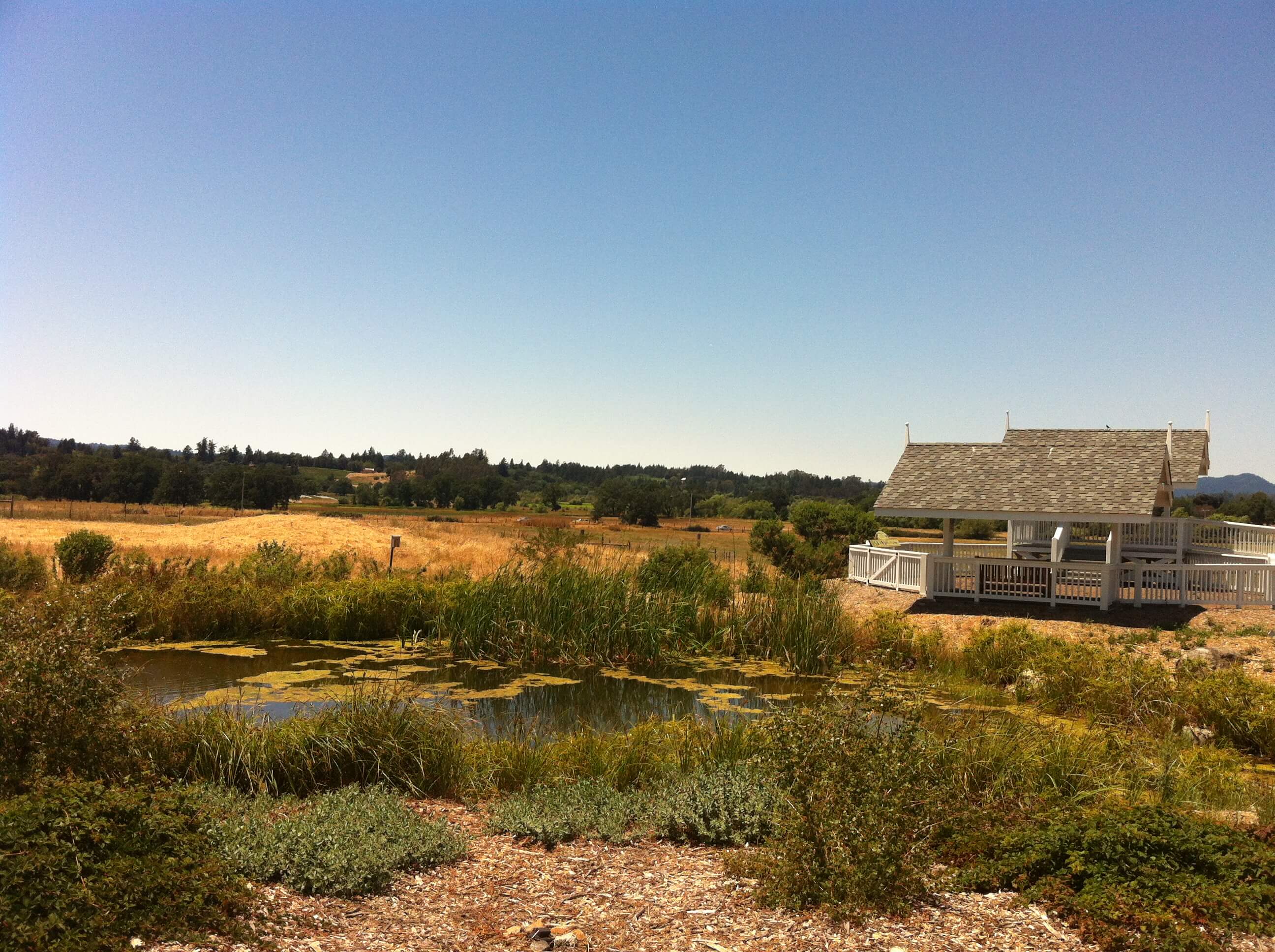 Home - Sebastopol Area Chamber of Commerce